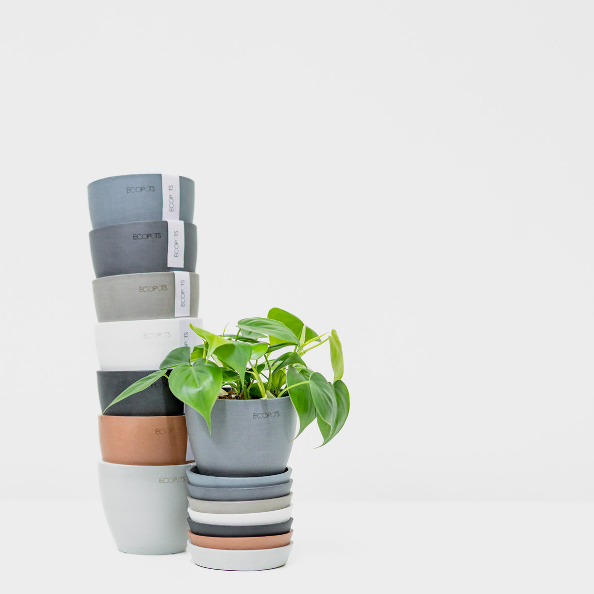 Ecopots by Shopleaf Plant Studio