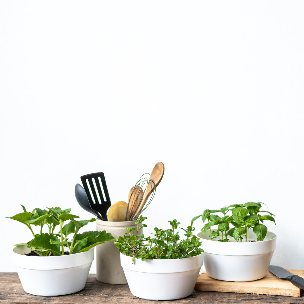 GROW YOUR FOOD – Shopleaf Plant Studio