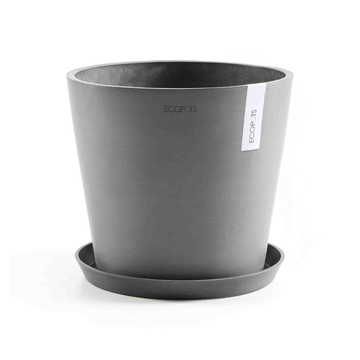 Suamei (L1) in Ecopots – Shopleaf Plant Studio