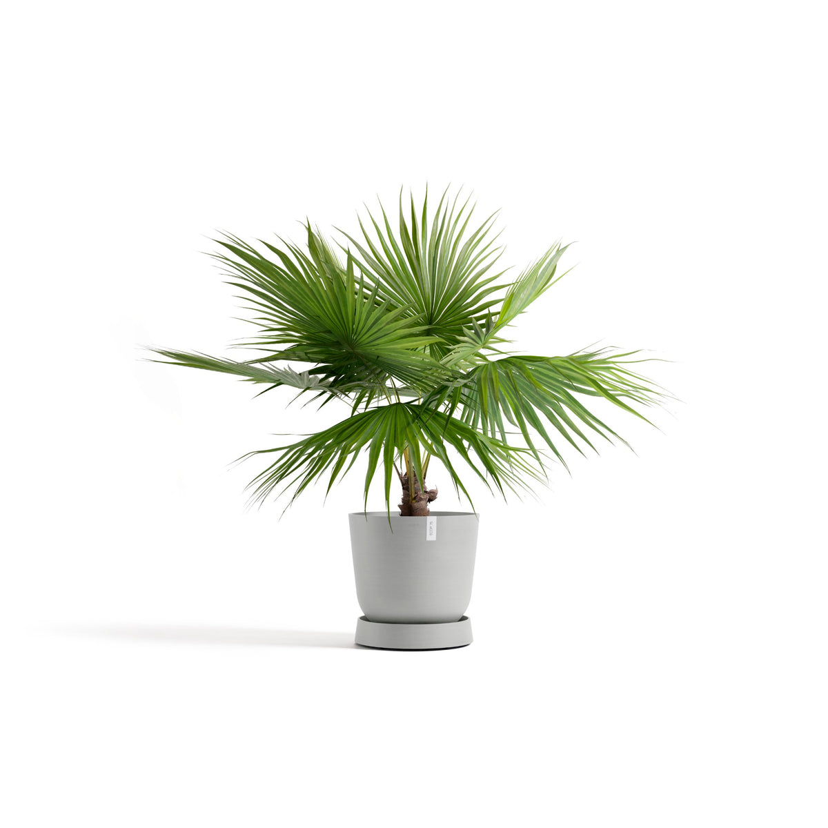Ecopots Oslo 55 with Water Reservoir with Saucer Wheels – Shopleaf ...