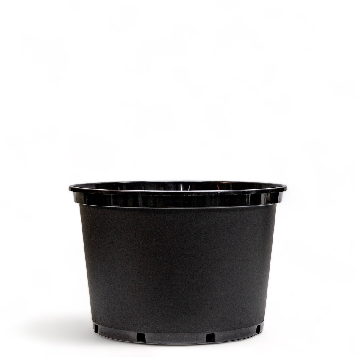 Basic Black Pot – Shopleaf Plant Studio