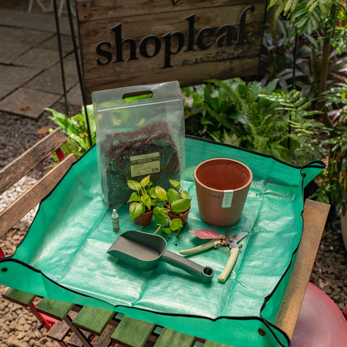 Get Your Hands Dirty Kit – Shopleaf Plant Studio