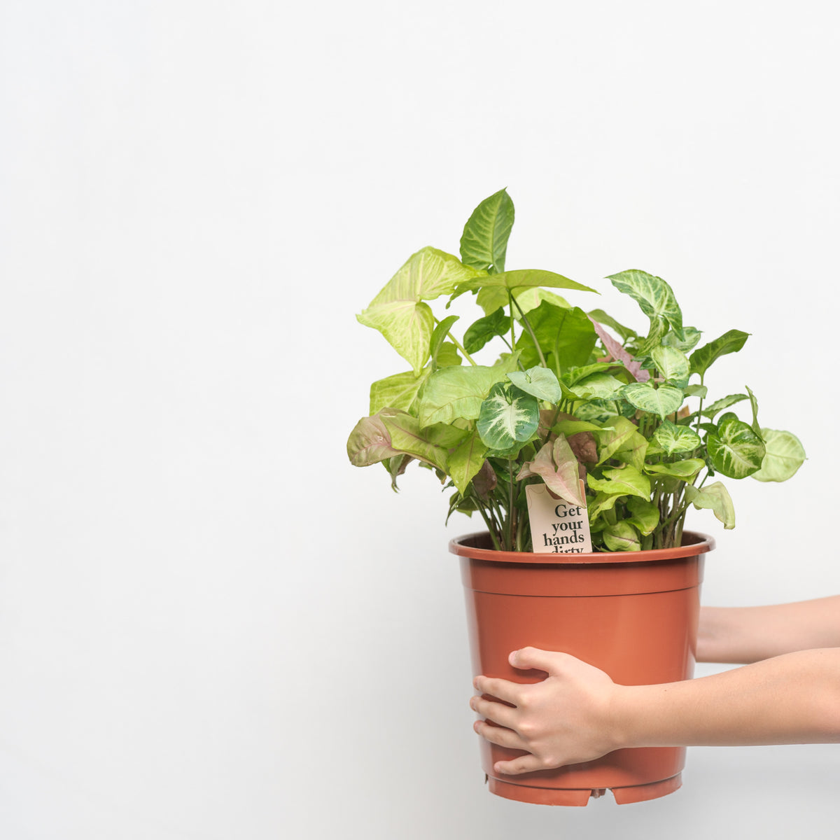 Kuma Recycled Plastic Soft Pots (Sold per Set, Made In Holland ...