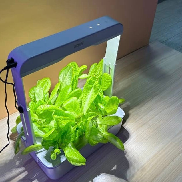 Sansi Hydroponics Grow System – Shopleaf Plant Studio